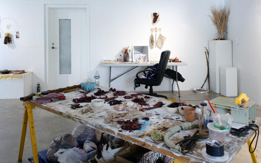Ama BE: NGO {Palm Oil} - Washington Project for the Arts