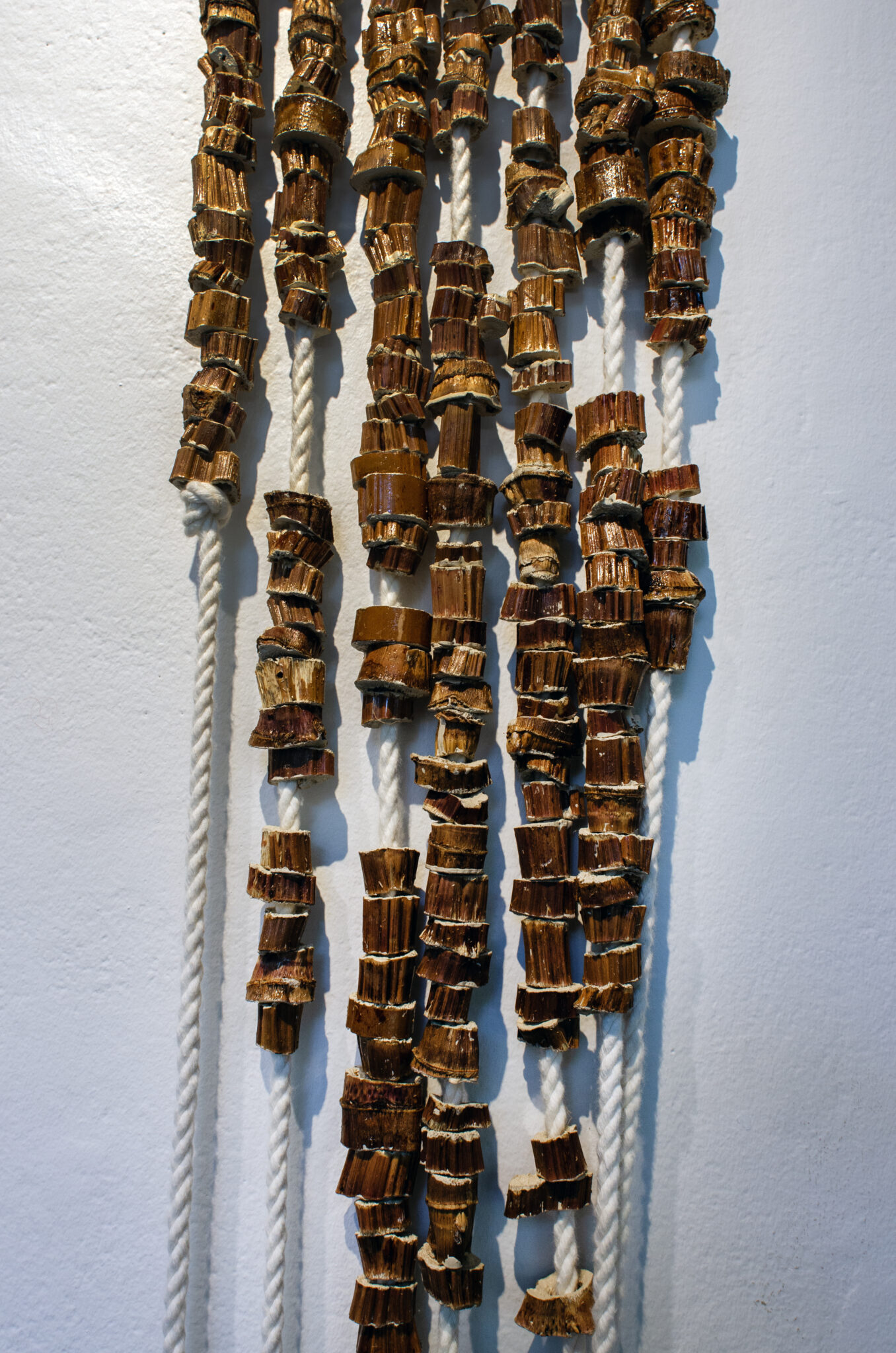 Ama BE: NGO {Palm Oil} - Washington Project for the Arts